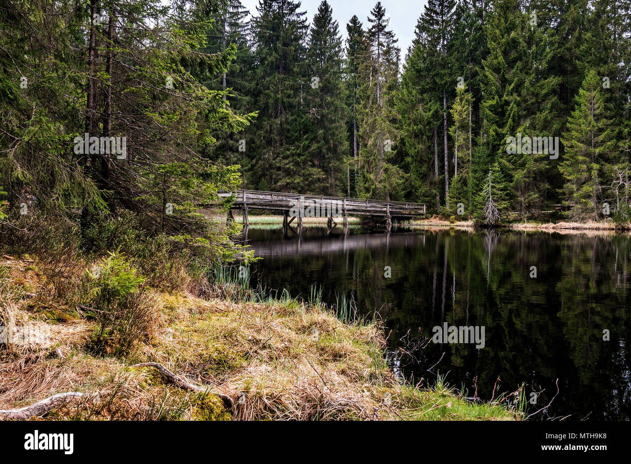wood bridge over a lake between trees reflection Stock Photo - Alamy
