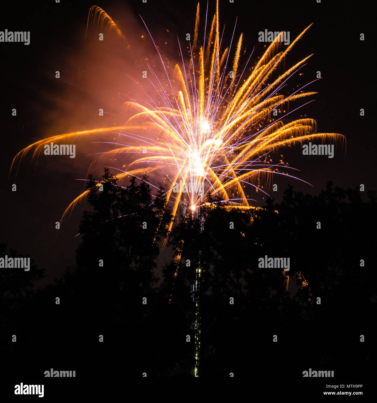 Fireworks behind trees hi-res stock photography and images - Alamy