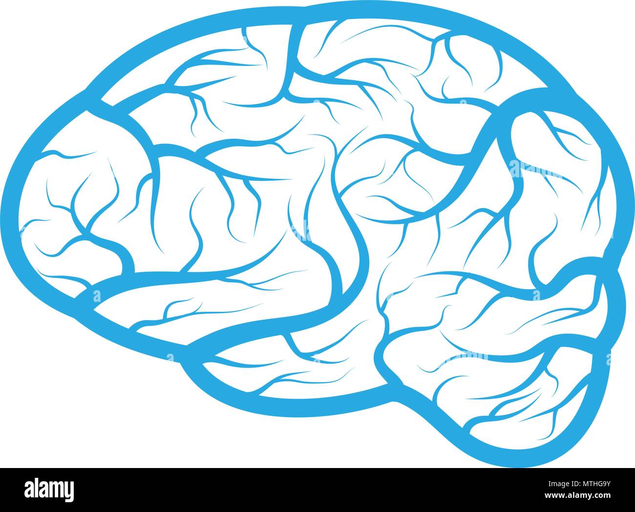 Brain Outline Template