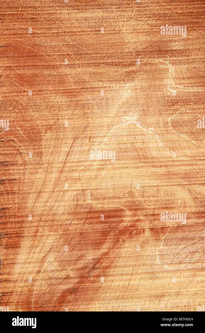 Rough surface of wood with rings Stock Photo - Alamy