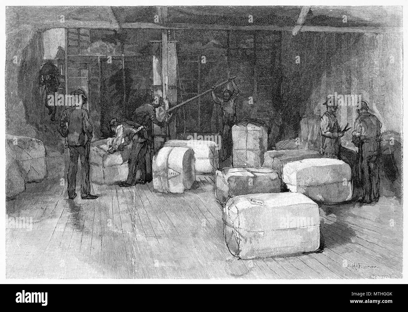 Sheep shearing shed Black and White Stock Photos & Images - Alamy