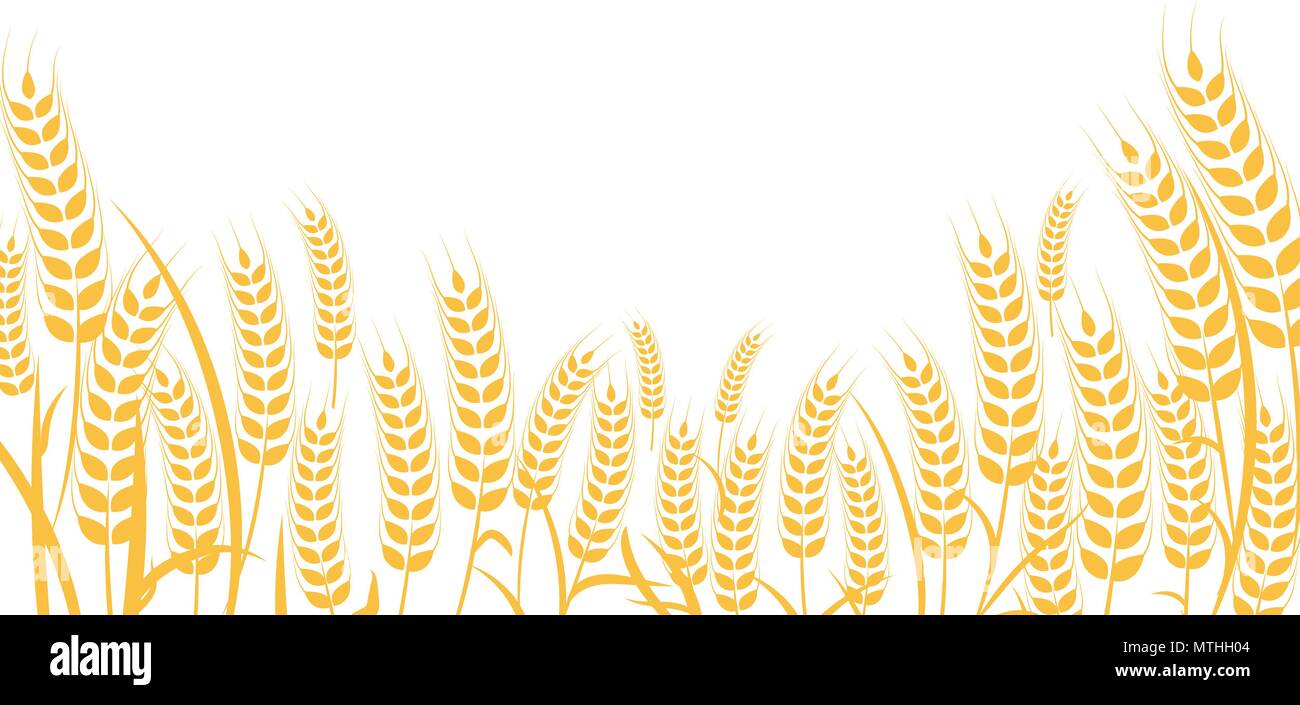 Agriculture wheat Background vector icon Illustration design Stock ...