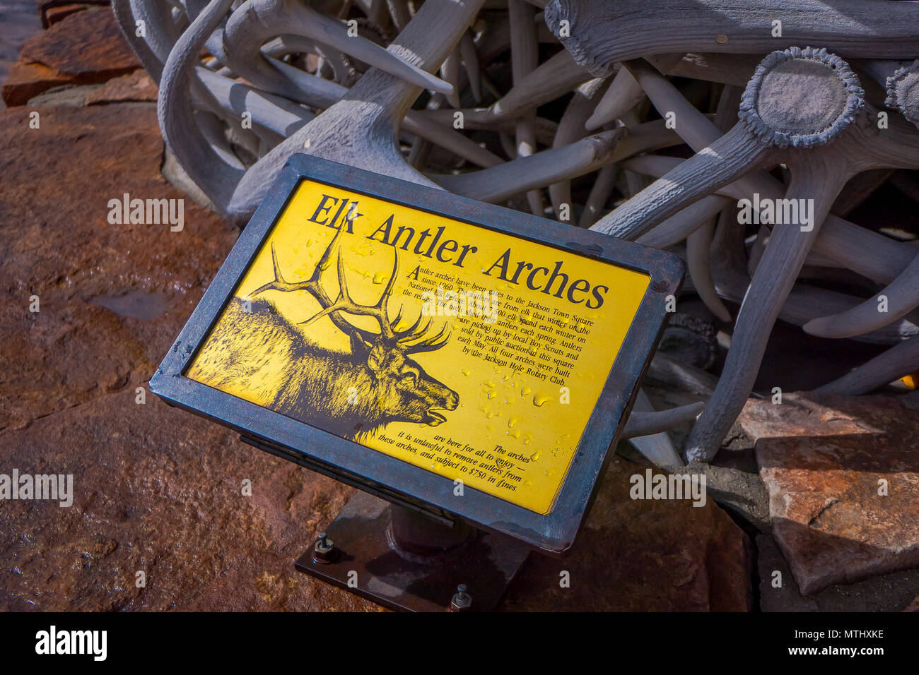 Antler structures hi-res stock photography and images - Alamy