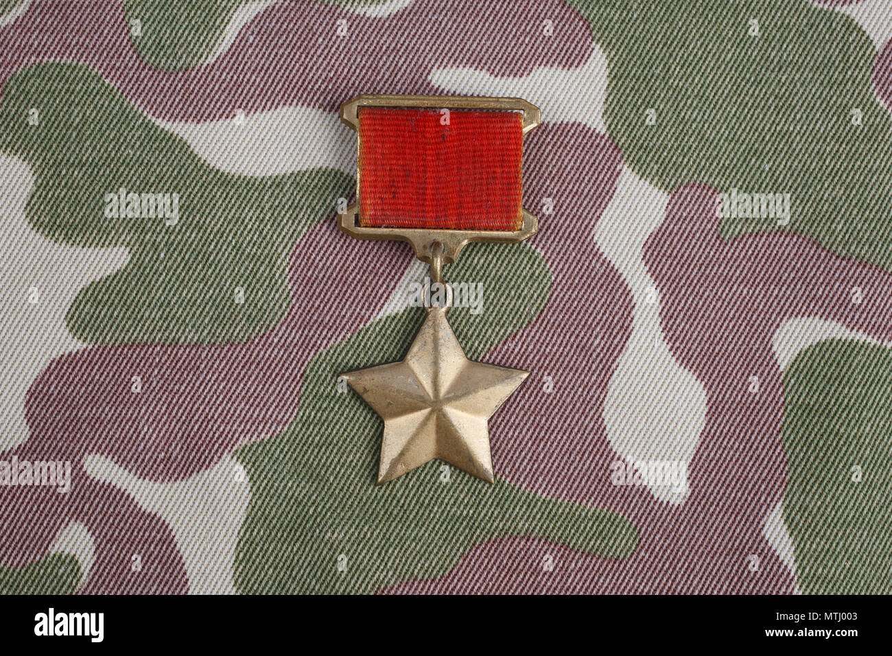 The Gold Star medal is a special insignia that identifies recipients of ...