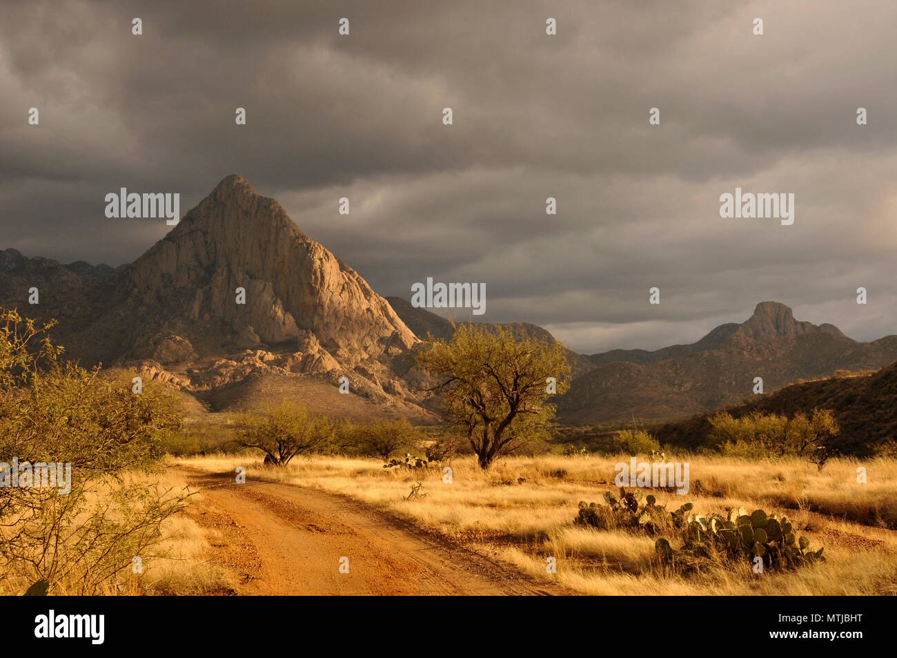 Elephant Head rises above the grasslands in the foothills of the Santa ...