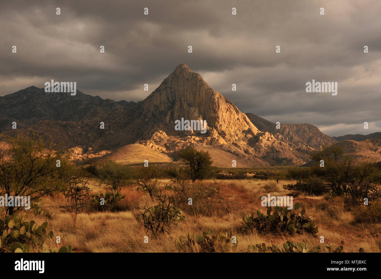 Elephant Head rises above the grasslands in the foothills of the Santa ...