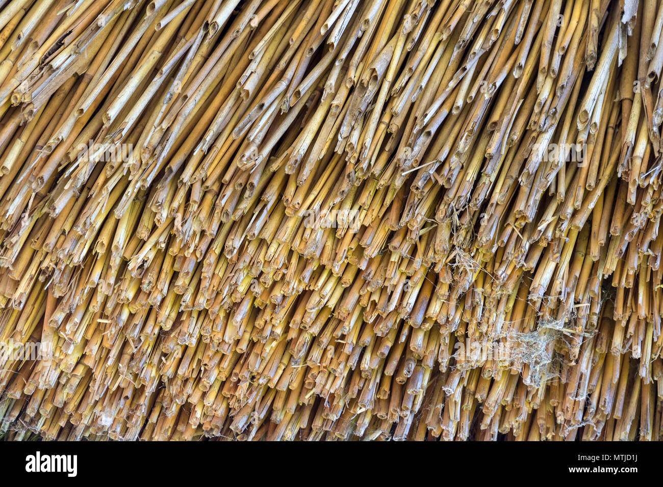 Thatch thatched thatching hi-res stock photography and images - Alamy