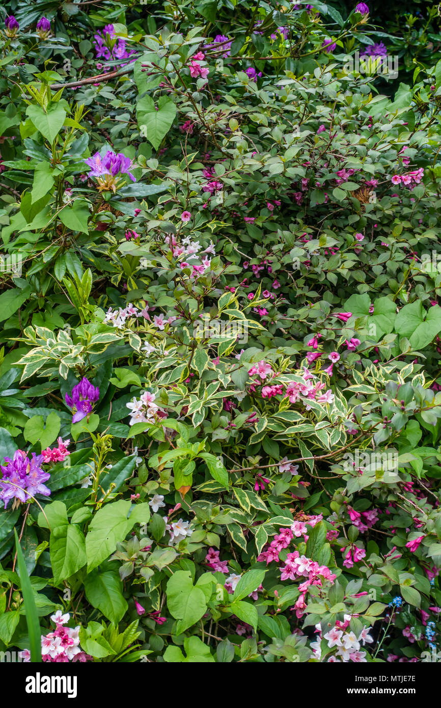 Varitey hi-res stock photography and images - Alamy