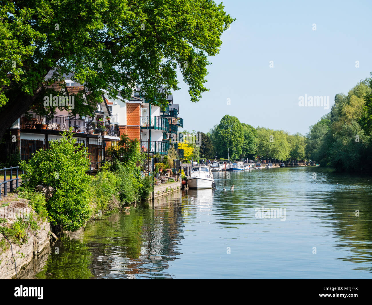 Maidenhead berkshire england uk hi-res stock photography and images - Alamy