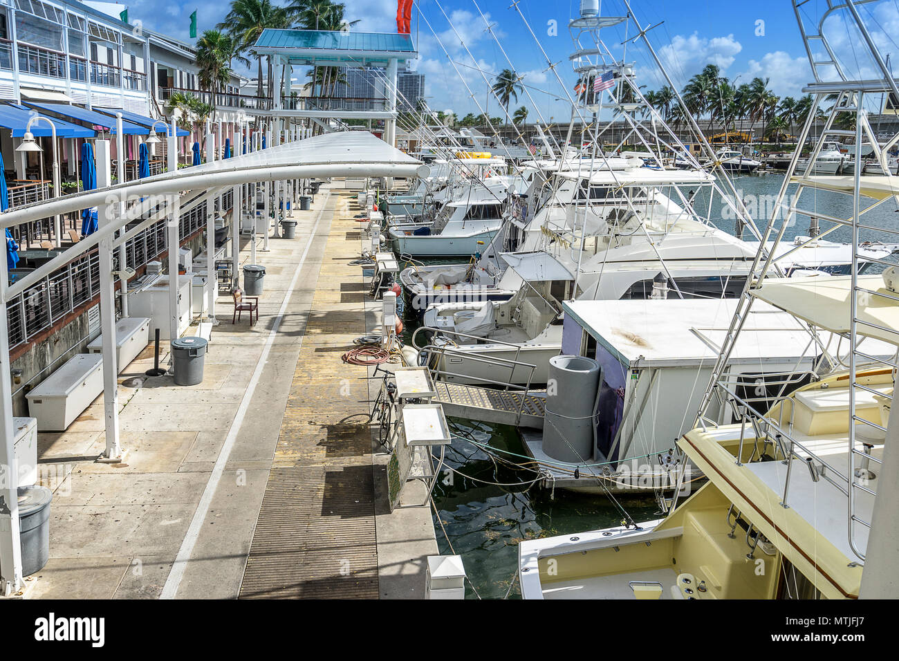 Bayfront park hi-res stock photography and images - Alamy