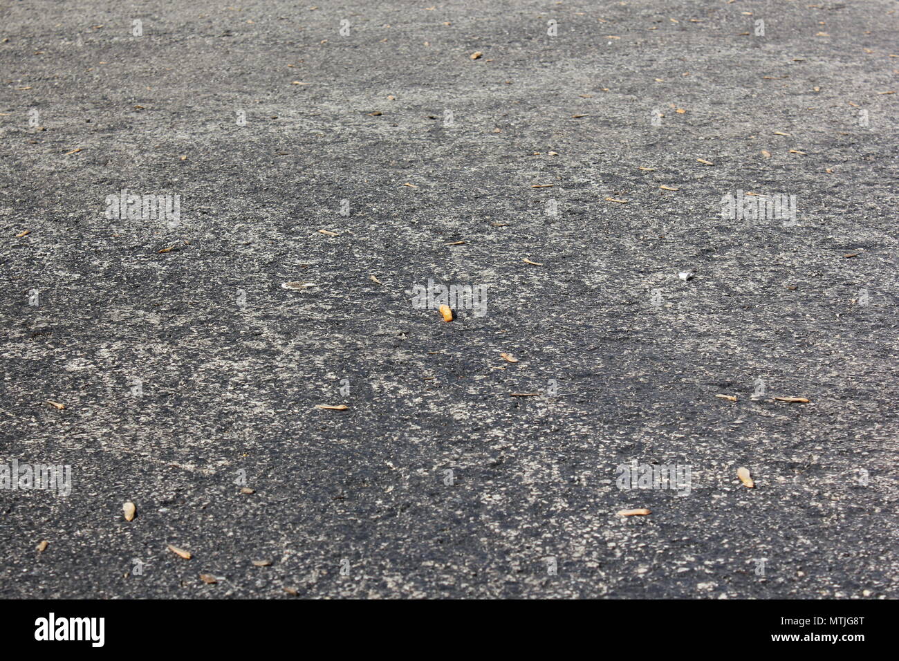 One french fry hi-res stock photography and images - Alamy