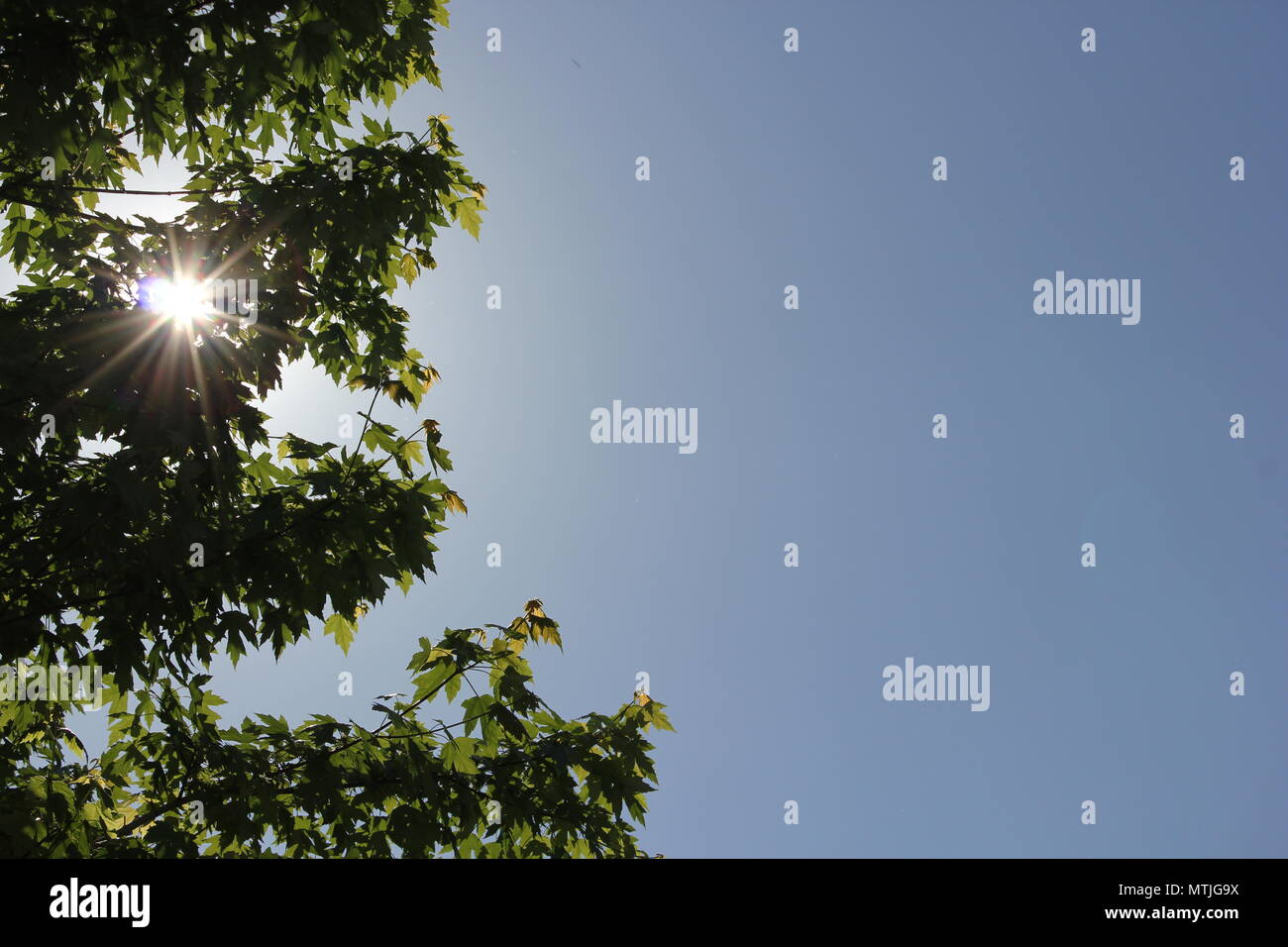 Rays of sun peeking thru hi-res stock photography and images - Alamy