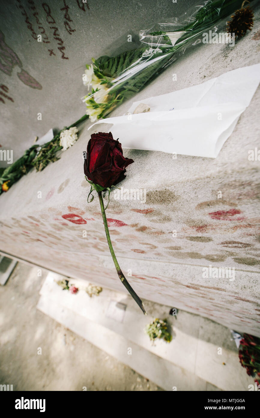 A red rose left at Oscar Wildes tomb covered in hearts and kiss marks ...