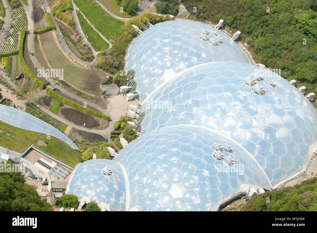Eden project plants hi-res stock photography and images - Alamy
