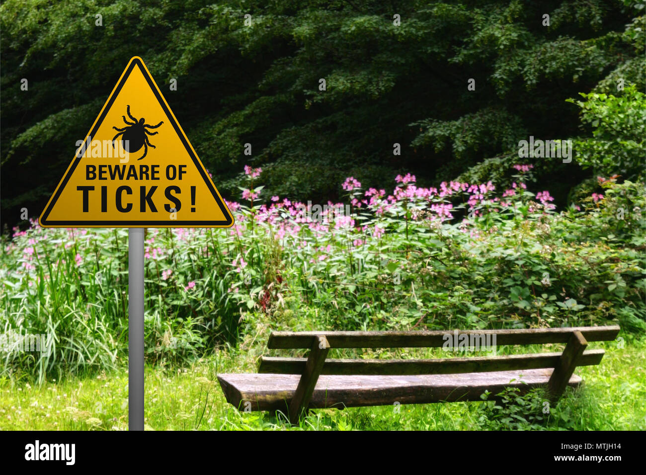 Warning sign "Beware of ticks" at a bench in a natural park Stock Photo ...