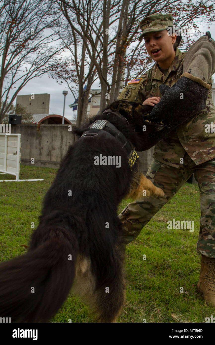 U.S. Army Staff Sgt. Tanya Weaver, a Patrol Explosive Detector Dog ...