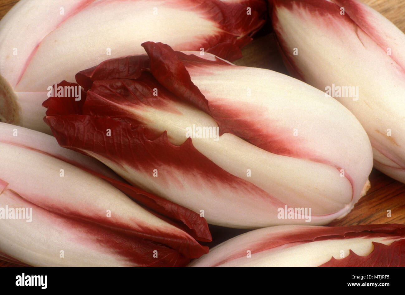 Endive chicory cichorium endivia hi-res stock photography and images - Alamy
