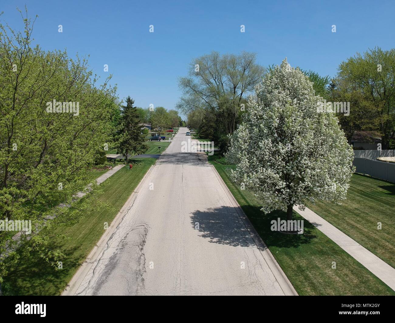 Aerial view of a suburban, tree lined street on a summer day void of ...