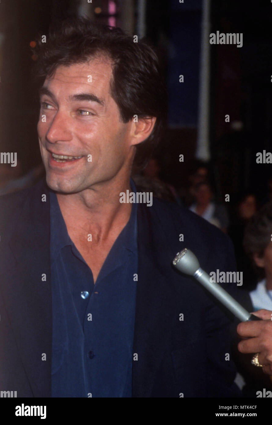 HOLLYWOOD, CA - JUNE 20: Actor Timothy Dalton attends 'The Rocketeer ...