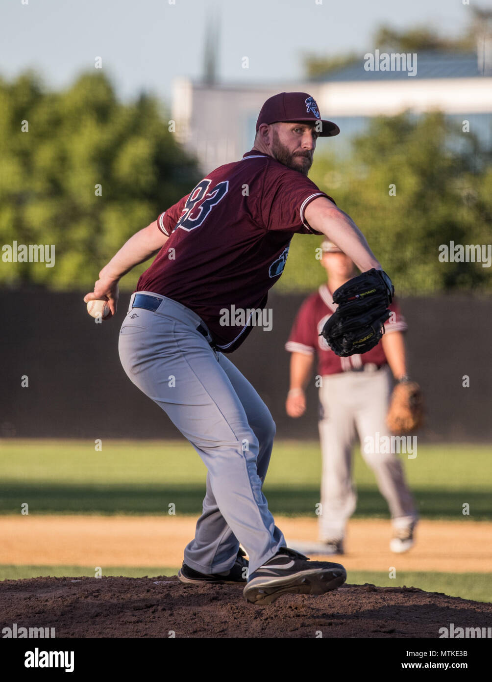 Tiger field hi-res stock photography and images - Alamy