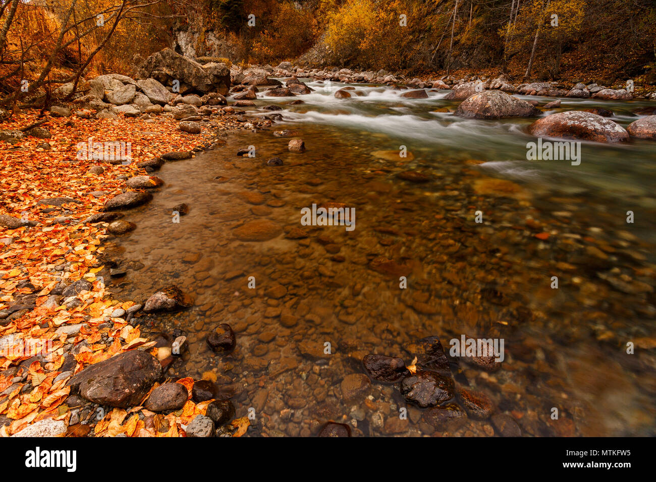 Autumn color along the Little Susitna River Alaska Stock Photo - Alamy