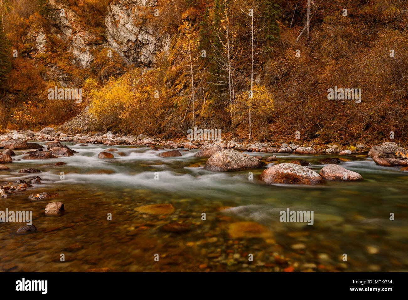 Autumn color along the Little Susitna River Alaska Stock Photo - Alamy
