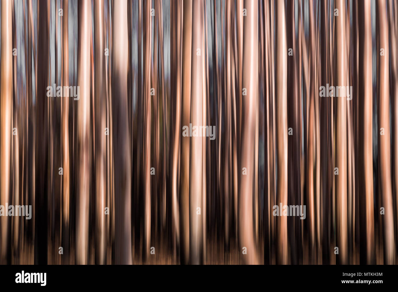 After bush fire australia hi-res stock photography and images - Alamy