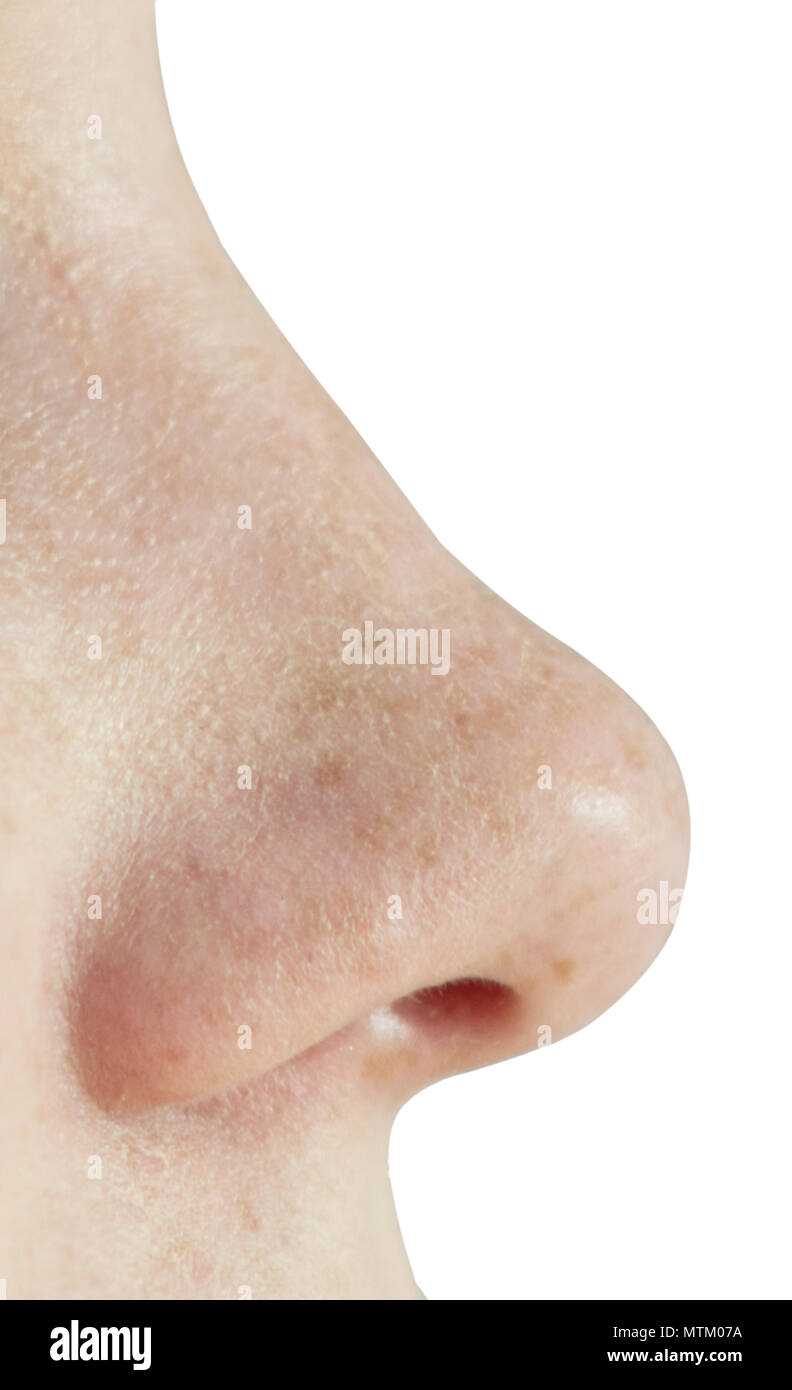 Nose isolated on white background Stock Photo - Alamy