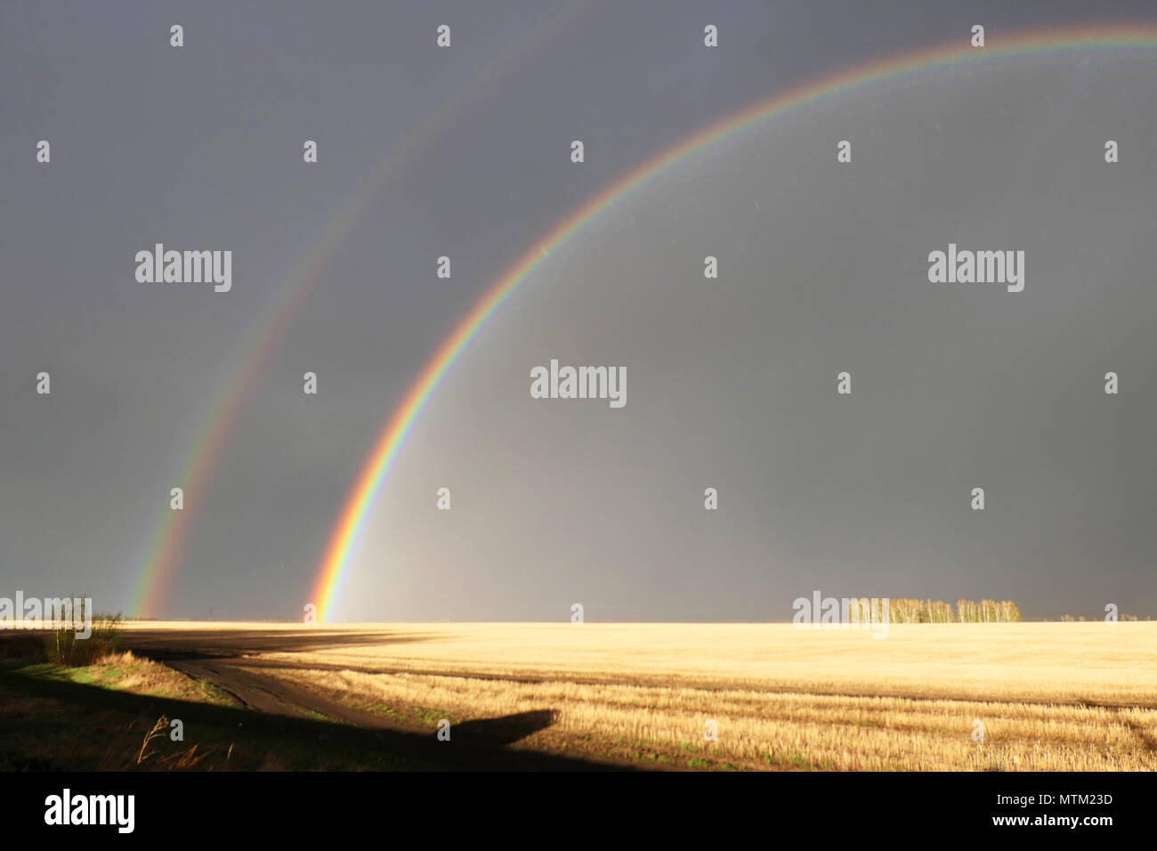 Beautiful scenery great field hi-res stock photography and images - Alamy