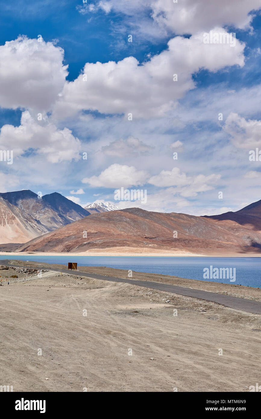 Pangong tso wildlife hi-res stock photography and images - Alamy