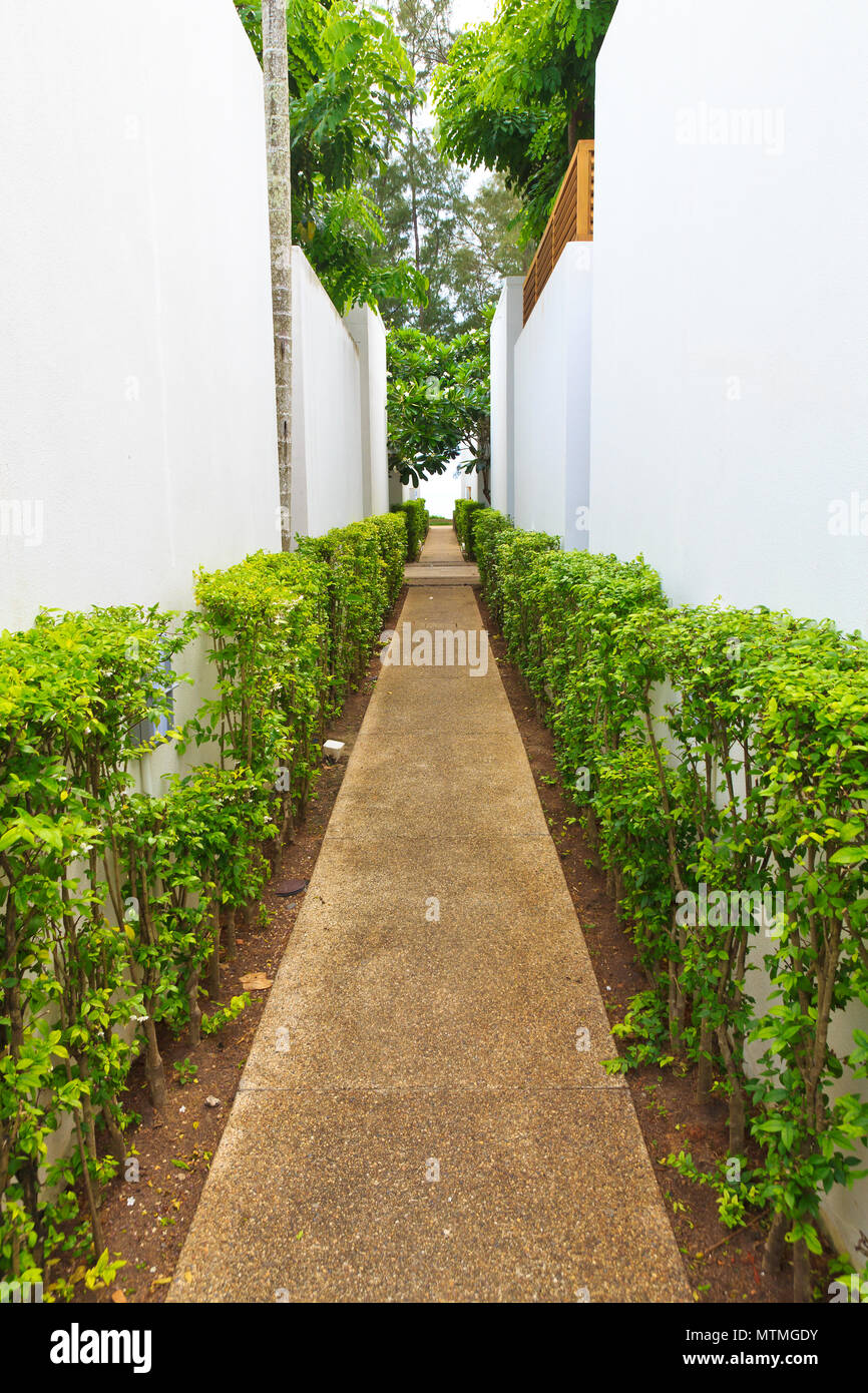 Foot path to the beach Stock Photo - Alamy