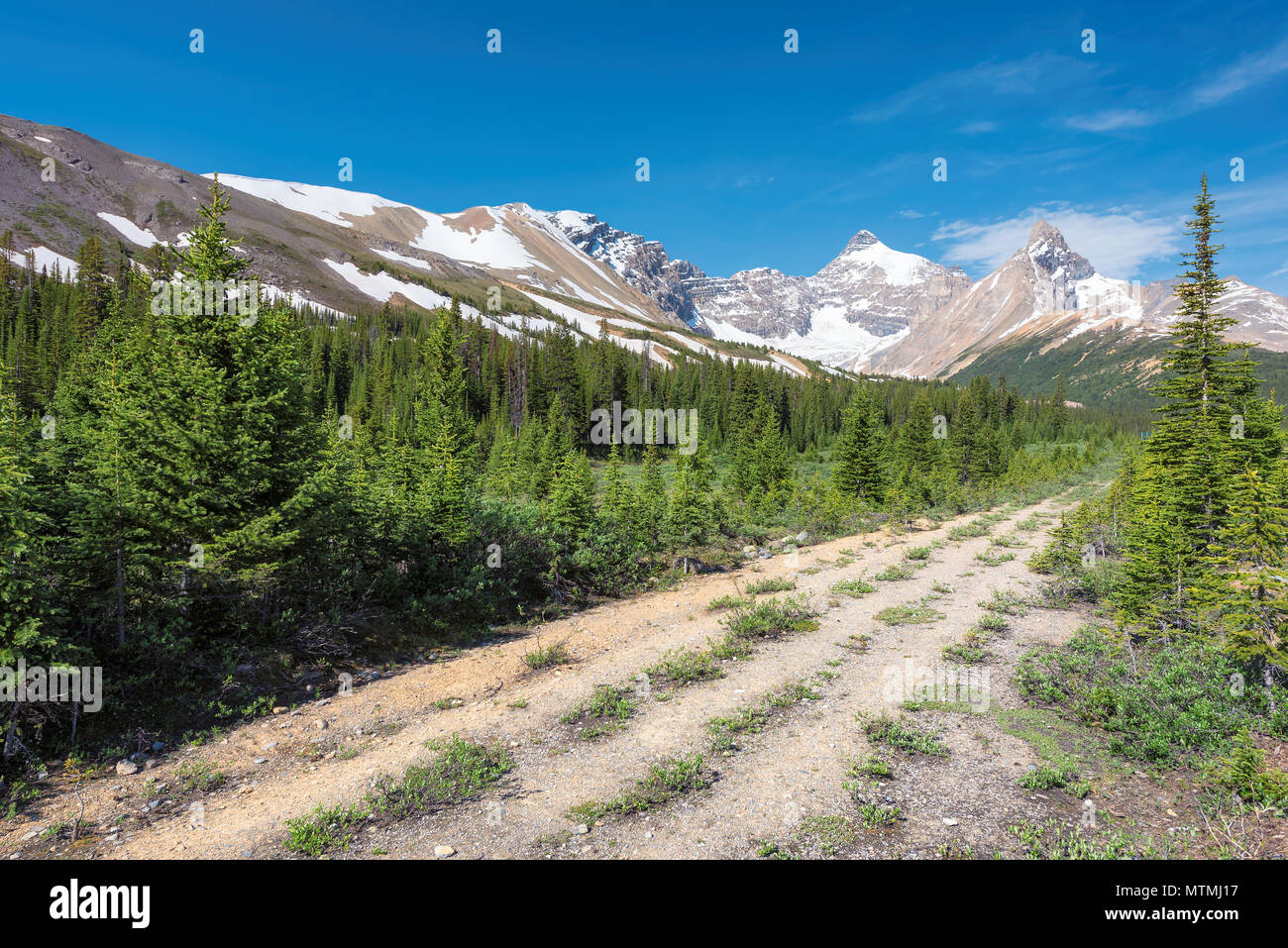 Rural alberta road hi-res stock photography and images - Alamy
