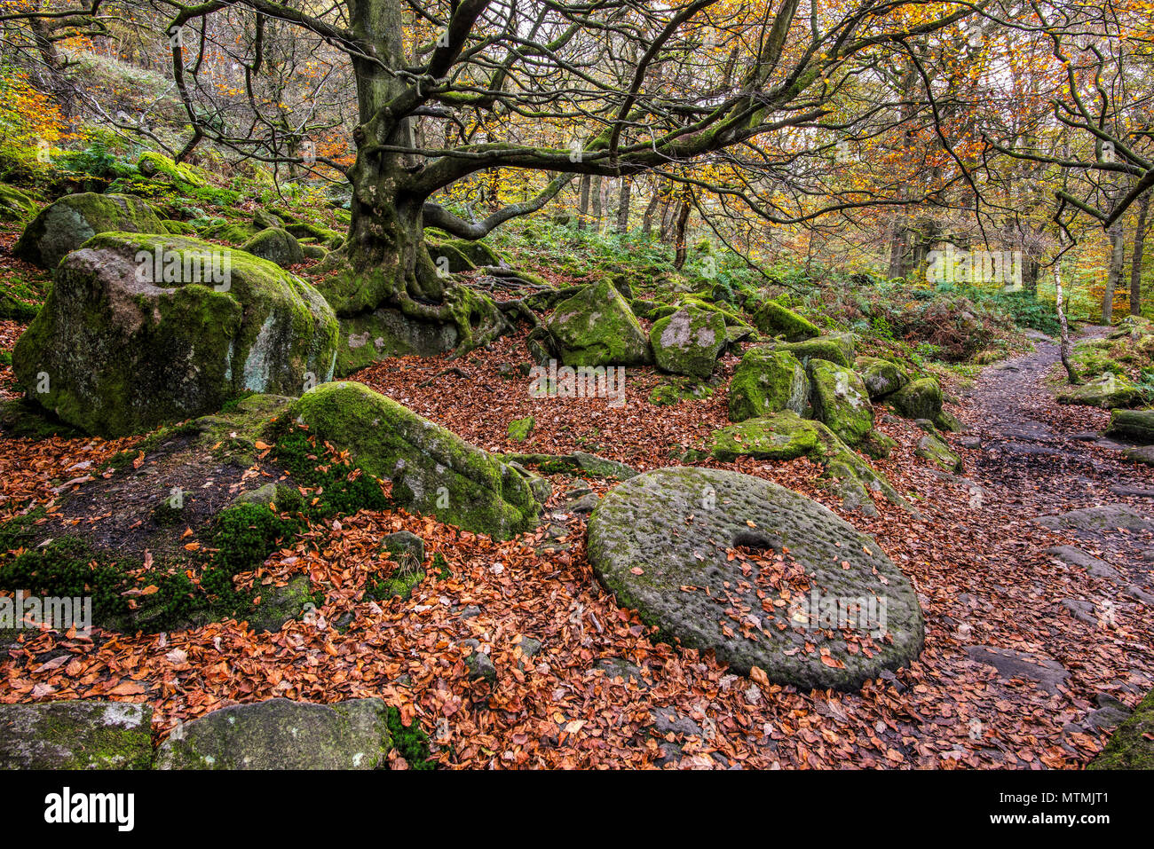 Padley Gorge Peak District Stock Photo - Alamy