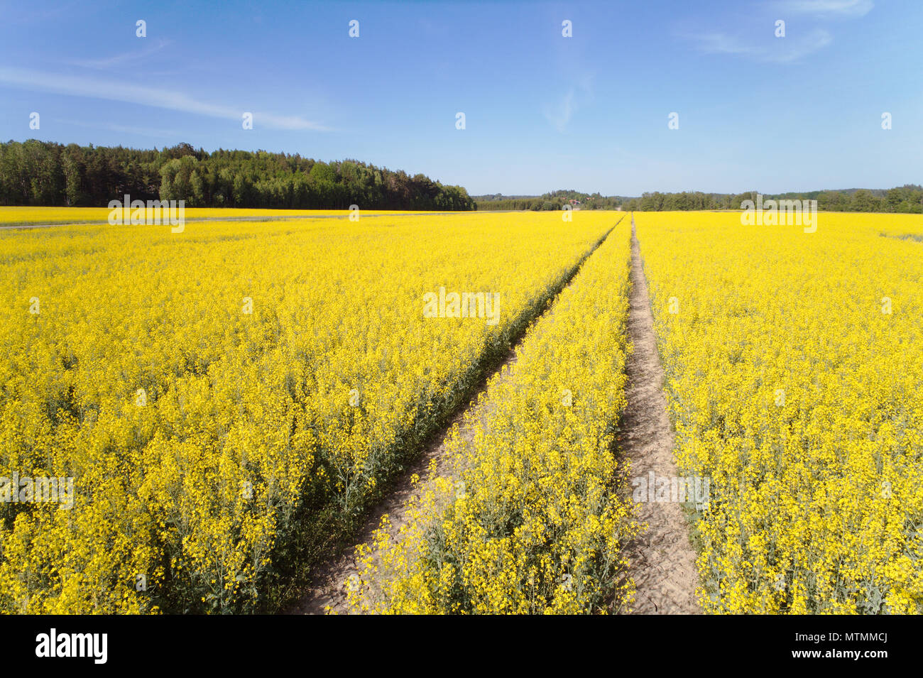 Parallel tracks hi-res stock photography and images - Alamy