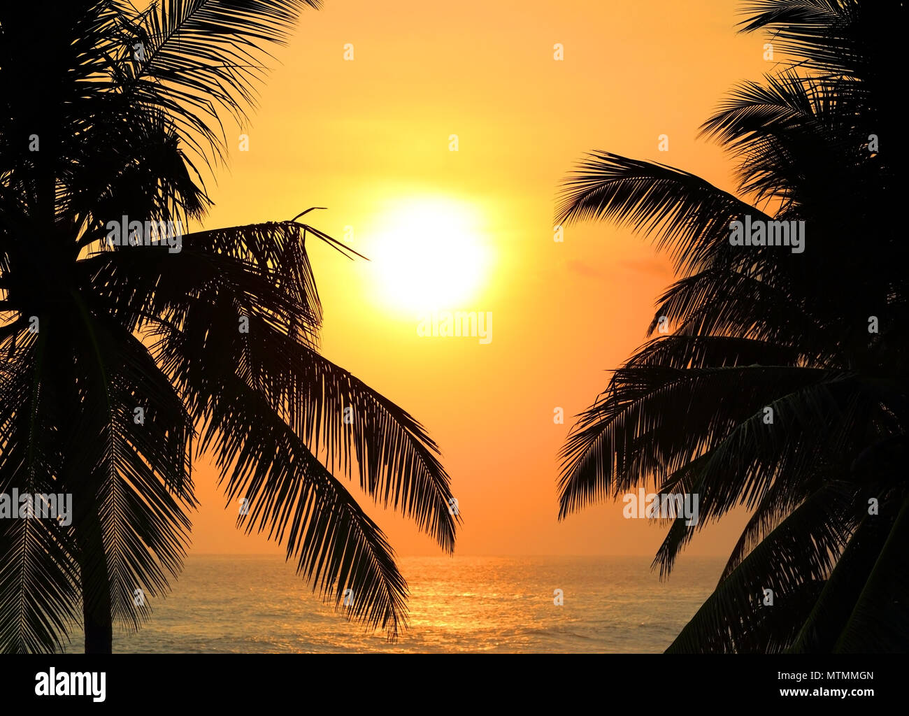 Palms sun tropical sunset hi-res stock photography and images - Alamy