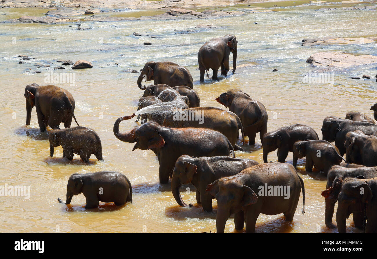 Bathing in river hi-res stock photography and images - Alamy