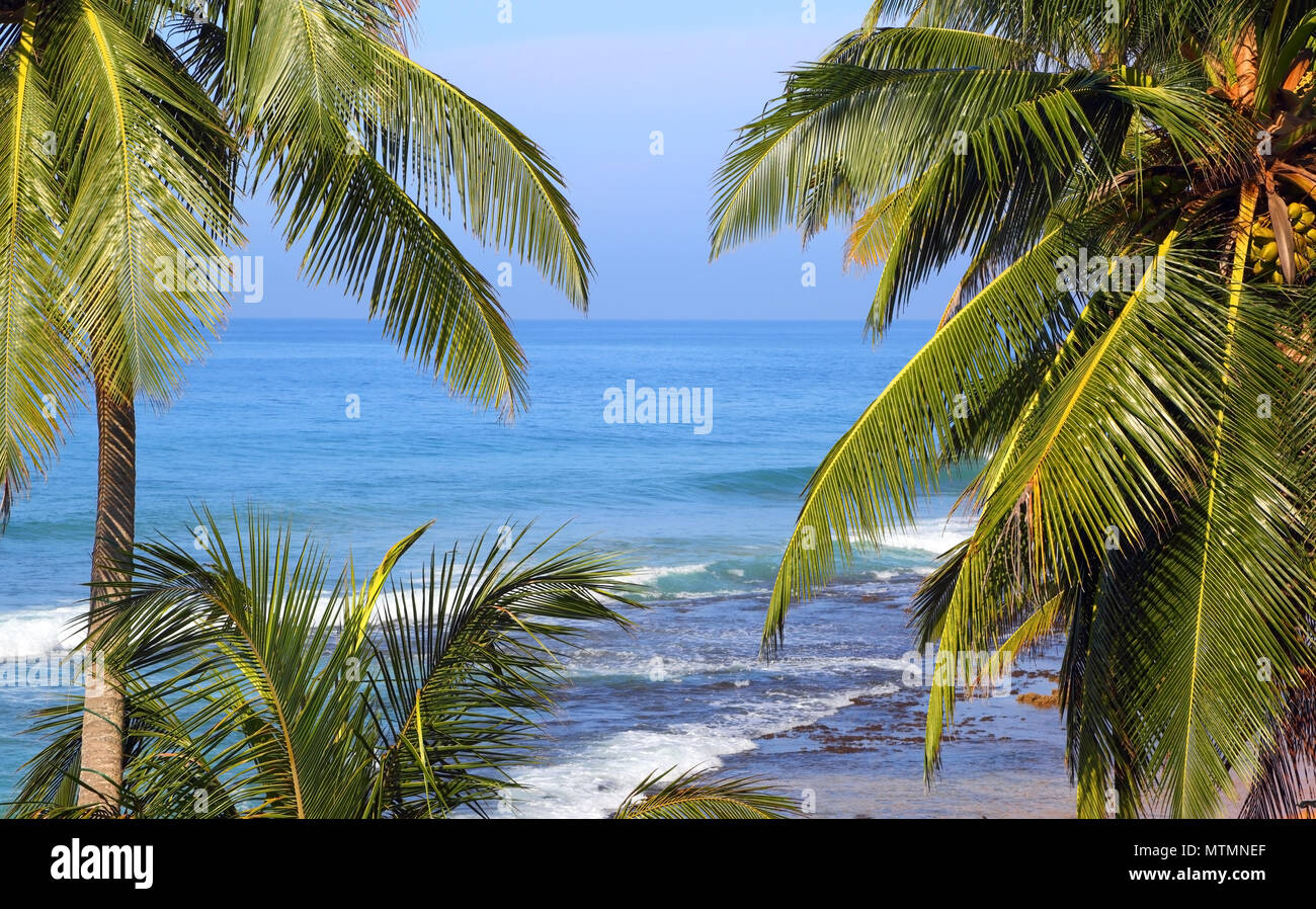 Sea foreground beach background hi-res stock photography and images - Alamy