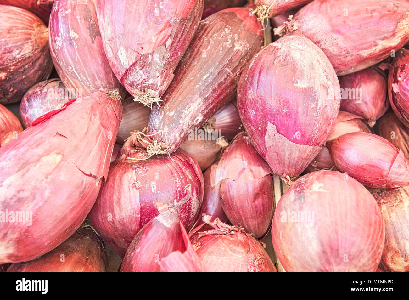 Tropea onions of Calabria Italy background Stock Photo - Alamy