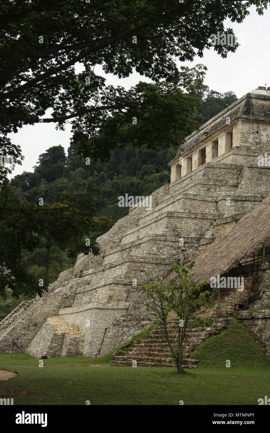Palenque, Mexico, Archeological ruins, Temple of Inscriptions Stock ...