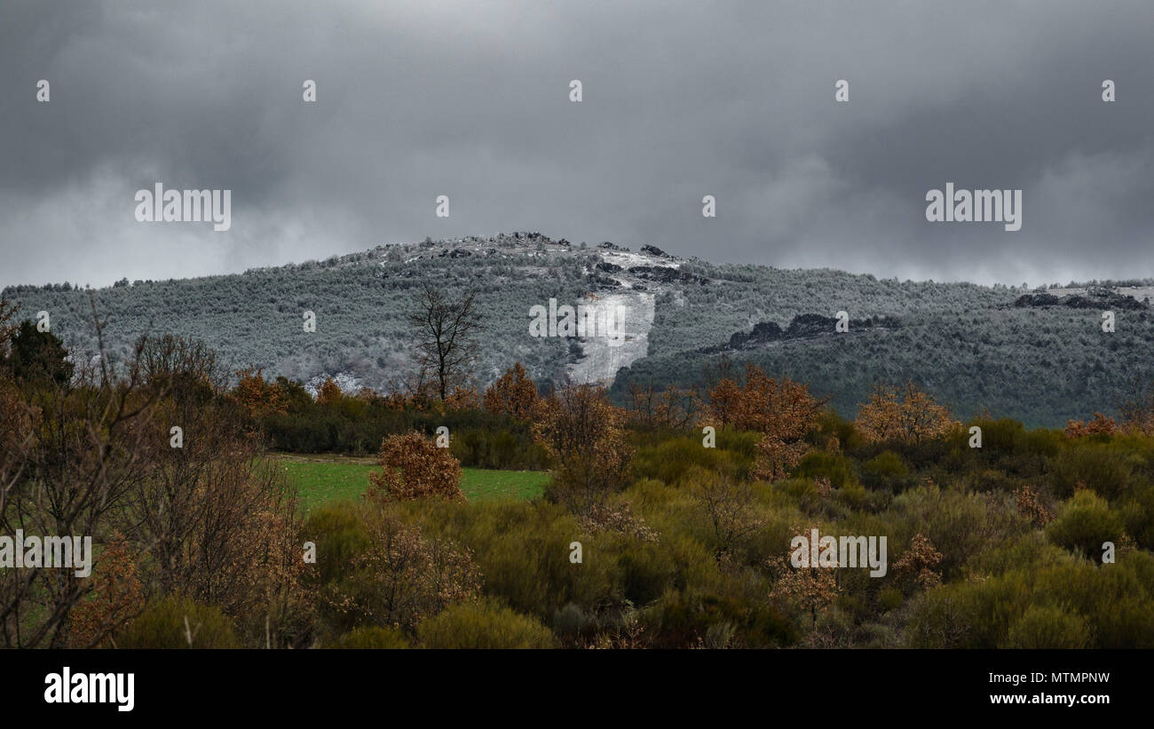 Firebreak forest hi-res stock photography and images - Alamy