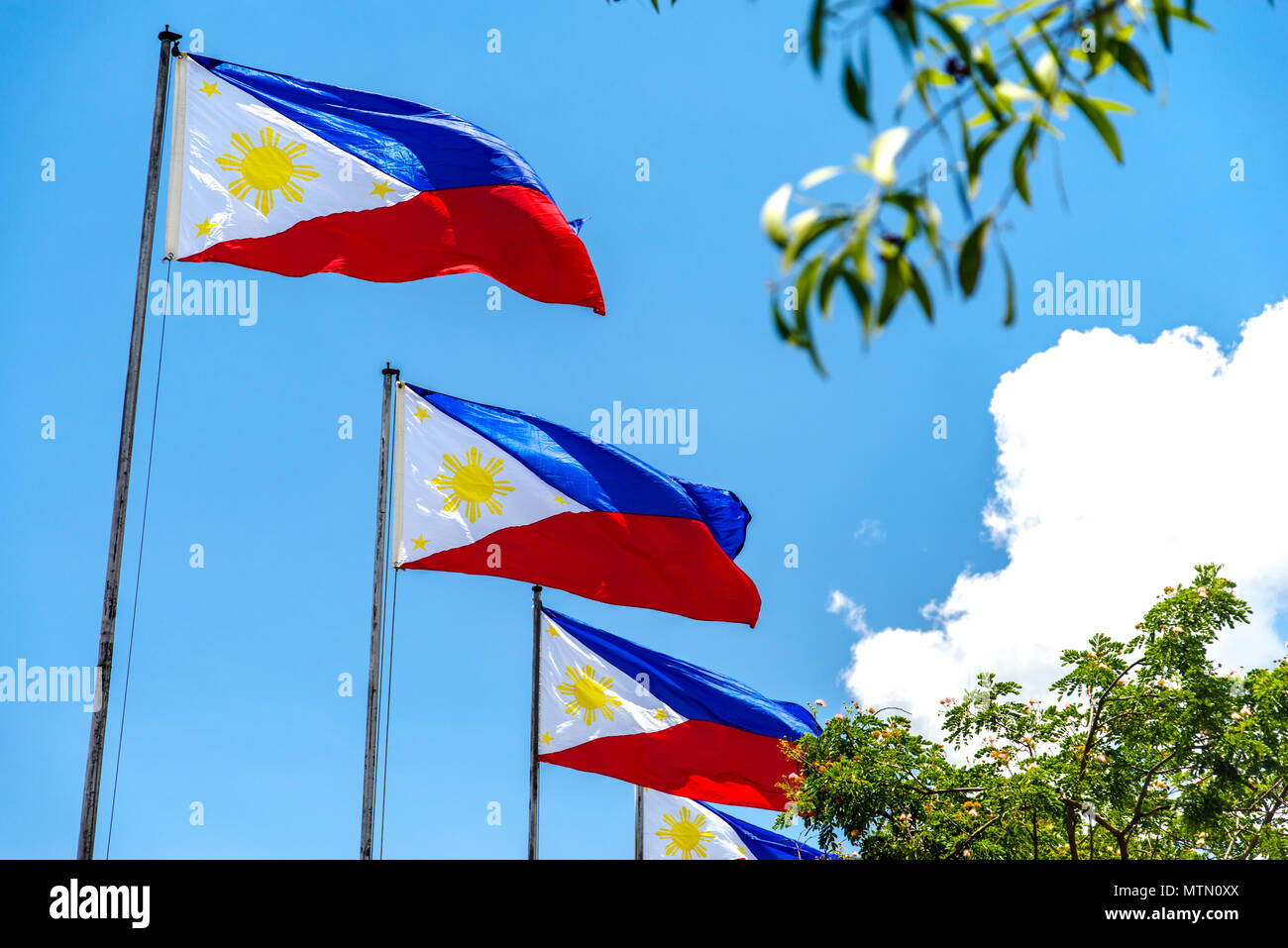 Philippines National flag flying in the wind, Philippines Stock Photo ...