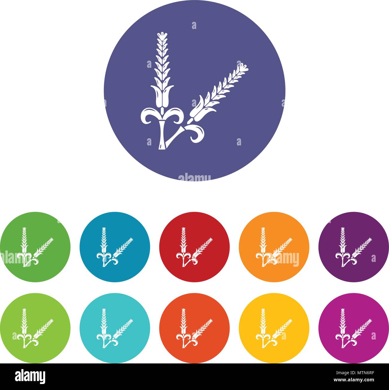 High wheat icon simple hi-res stock photography and images - Alamy