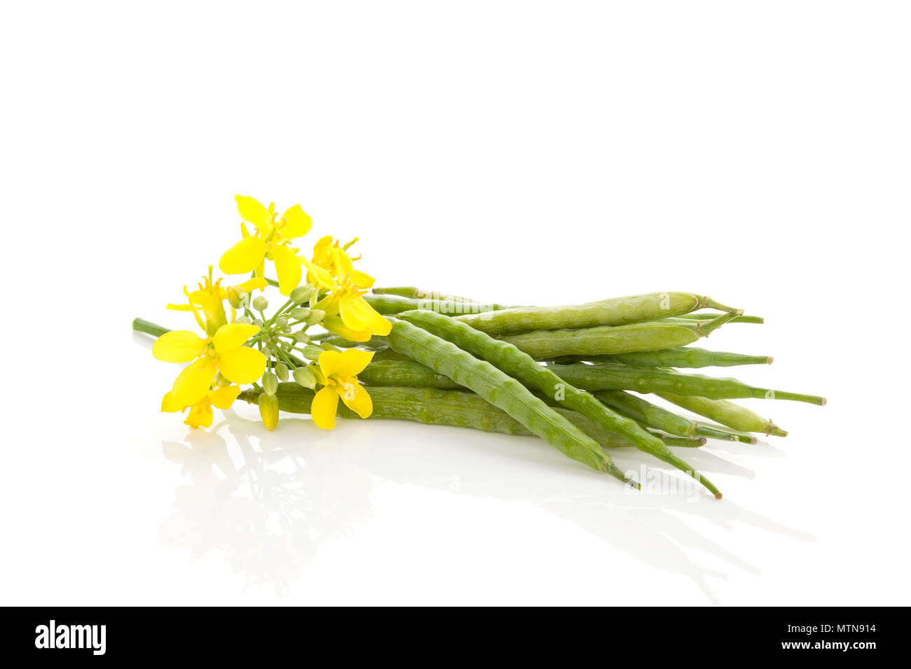 Rapessed flower and fruit isolated on white background Stock Photo - Alamy
