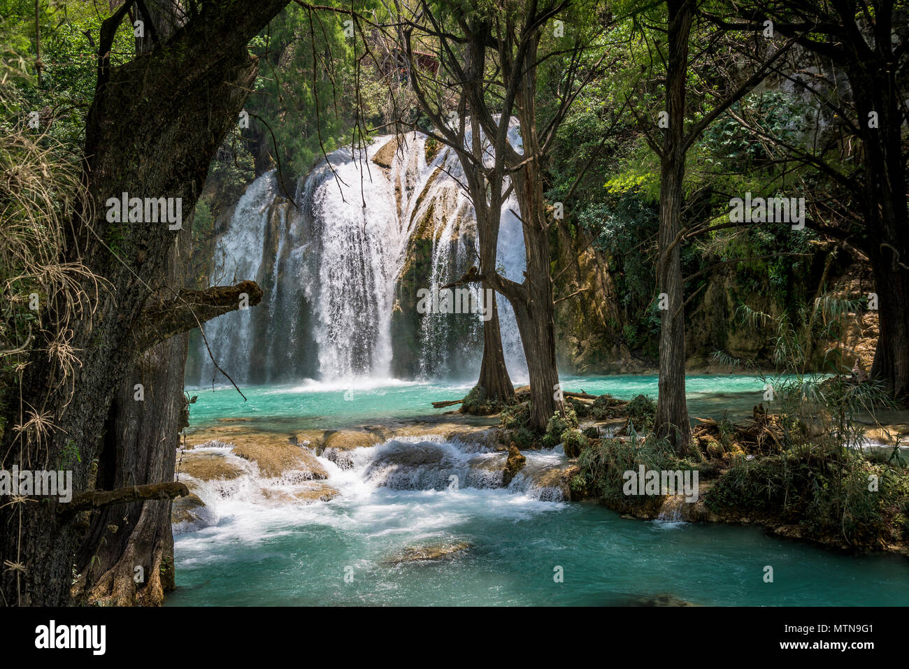 Chiflon Waterfall, Cascada El Supiro, Chiapas, Mexico Stock Photo - Alamy