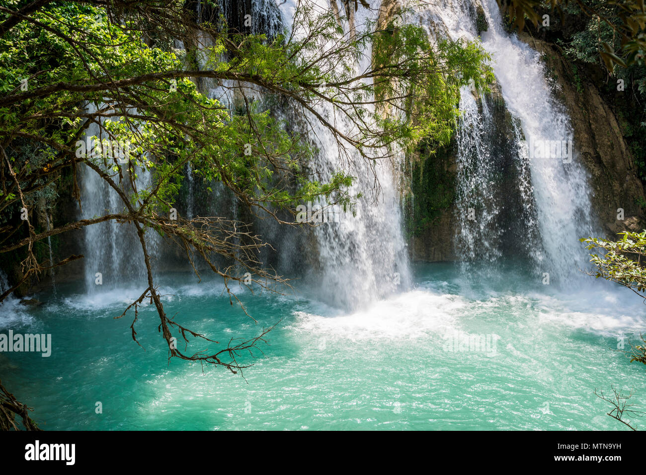 Chiflon Waterfall, Cascada El Supiro, Chiapas, Mexico Stock Photo - Alamy