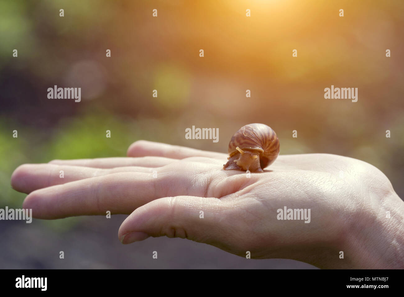 Handdrawn hands hi-res stock photography and images - Alamy