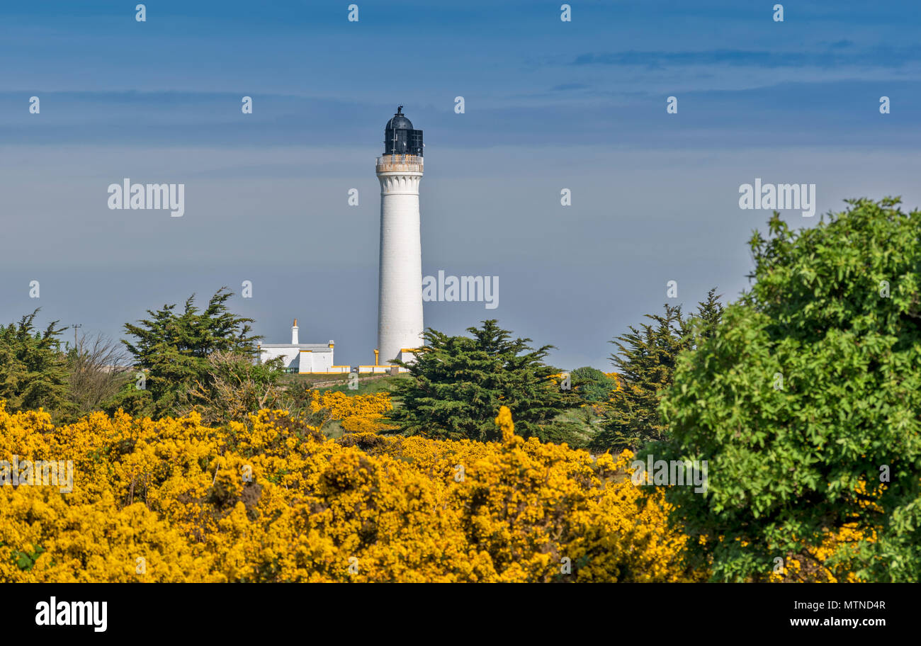 Covesea light house hi-res stock photography and images - Alamy