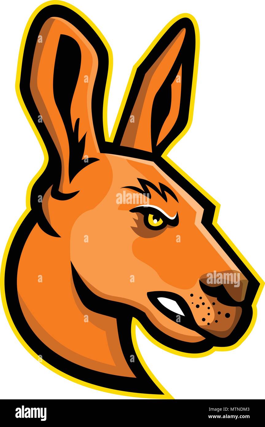 Mascot icon illustration of head of a kangaroo, a marsupial from the ...