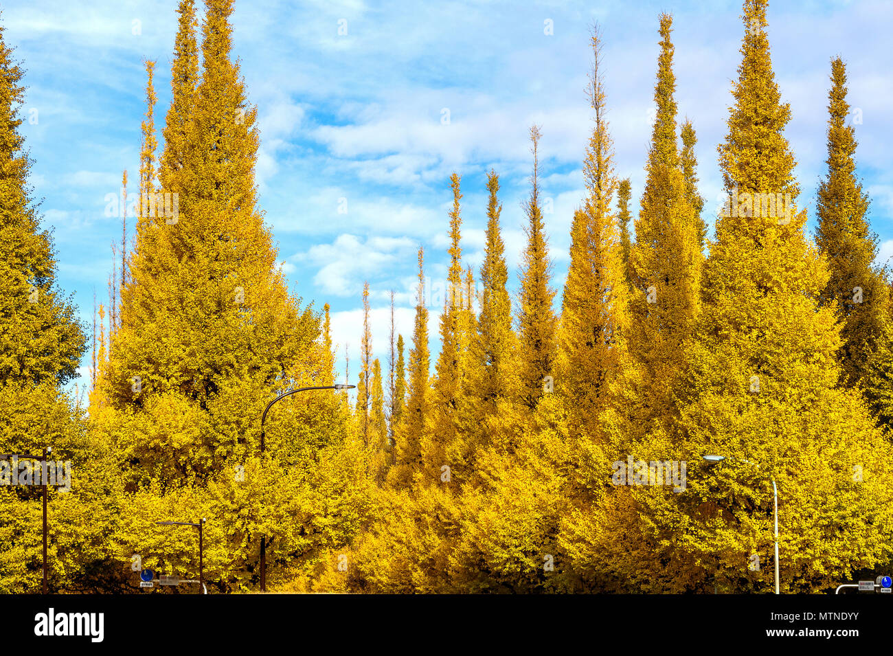 Icho tower hi-res stock photography and images - Alamy