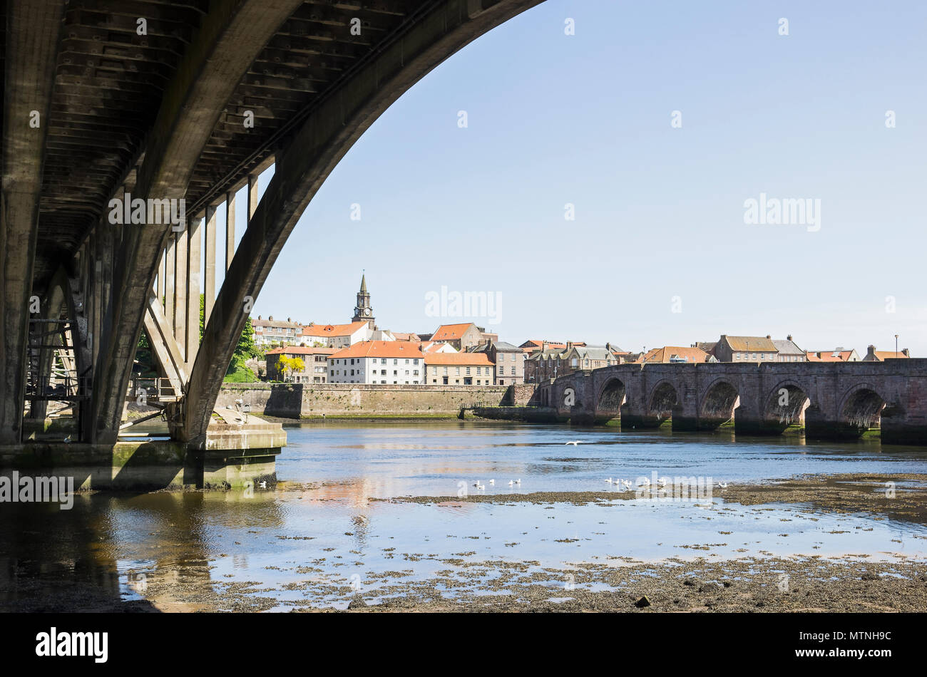 Royal tweed bridge hi-res stock photography and images - Alamy